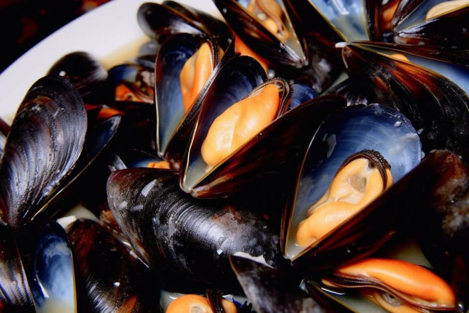 How to Smoke Mussels in Shell | Easy Seafood Recipes 2025