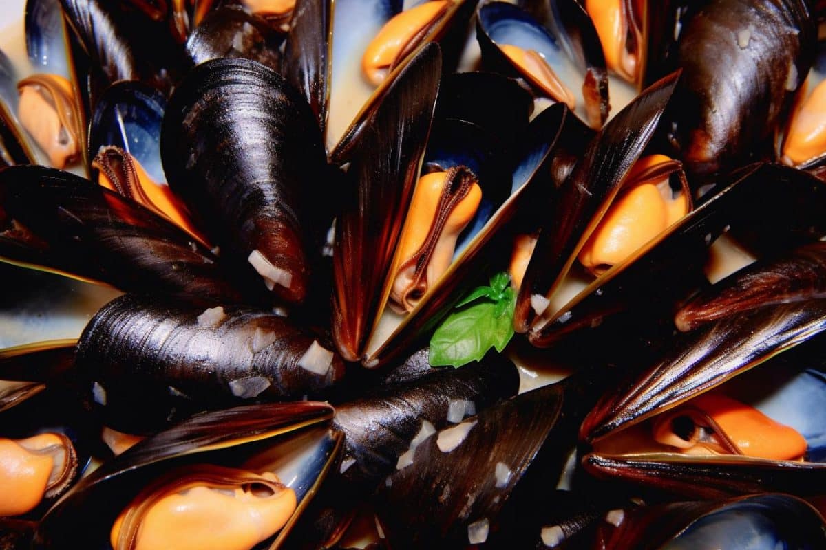 How to Smoke Mussels in Shell | Easy Seafood Recipes 2025
